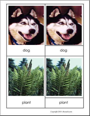 Montessori Materials: Three-Card Matching: Plants/Animals – Abcteach